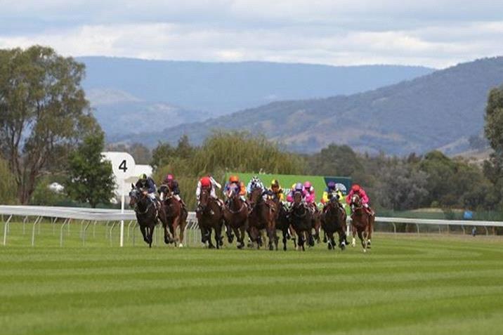 The Albury Cup Retains a Proud Racing History - Korhola Gambling